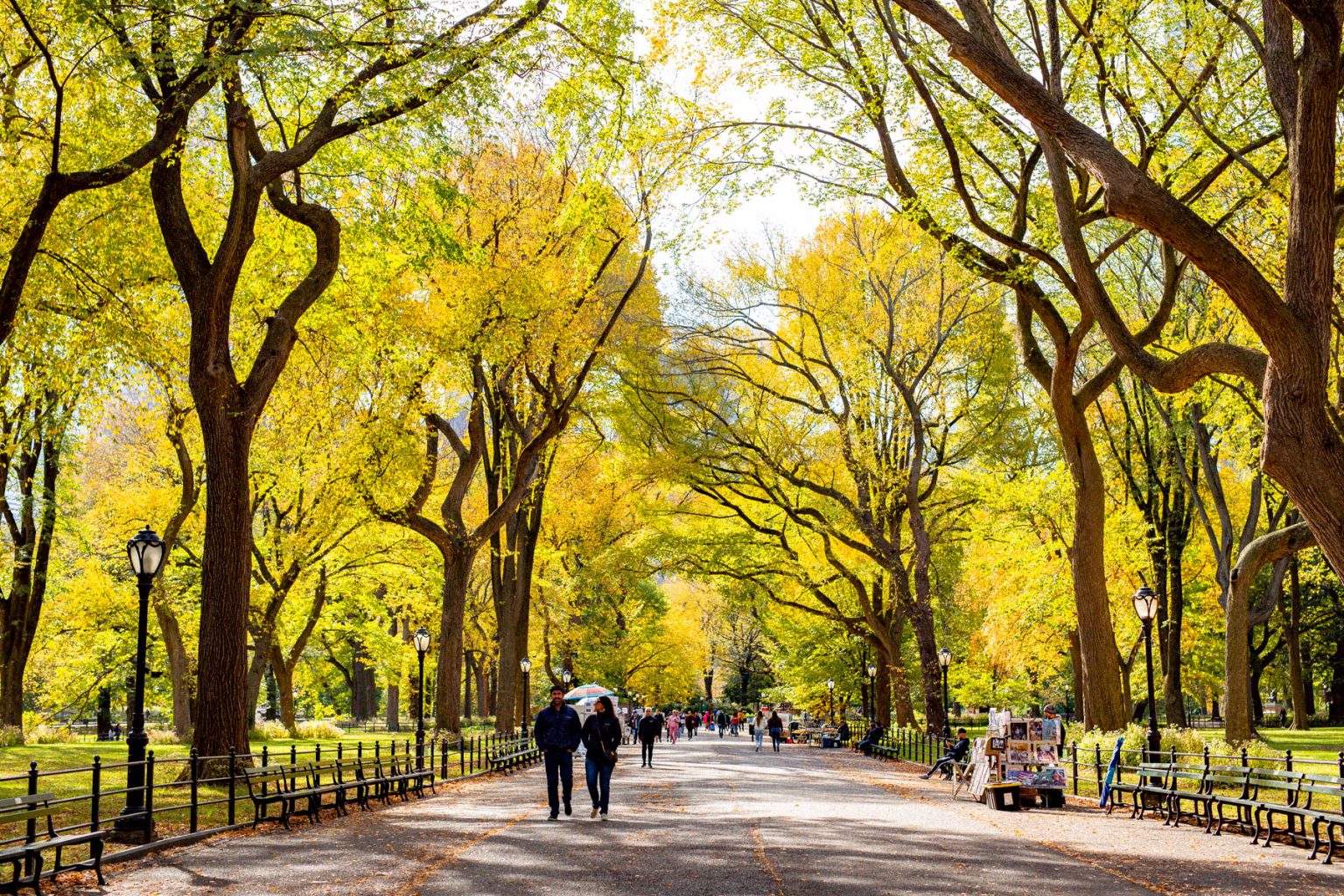 EPIC One Day in New York City Itinerary (A Snapshot of NYC)