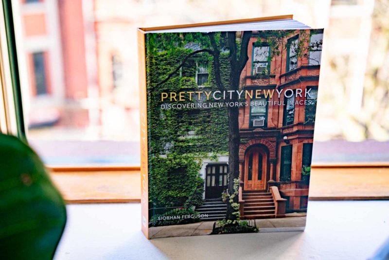 25 PREMIER Books About New York City (For All Interests)