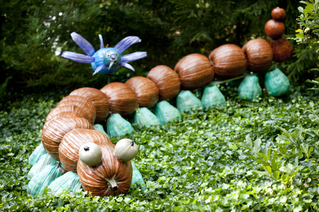 15 EPIC Things to Do in The Bronx (NYC's Coolest Borough)