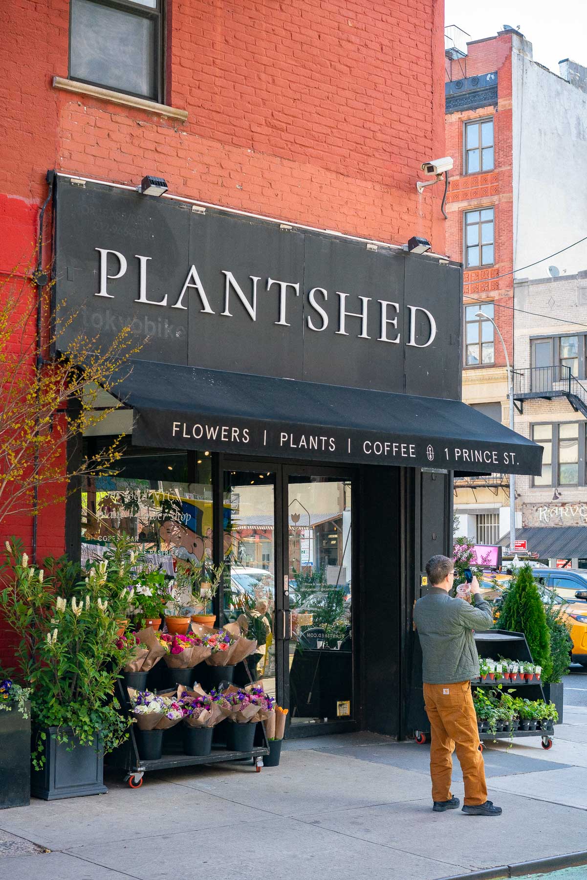15 SATISFYING SoHo Coffee Shops (Locals Can't Live Without!)